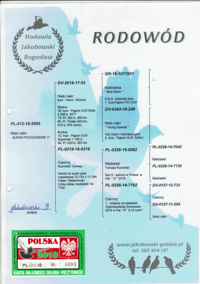 PL-012-18-5695 - oryg. B.Jakubowski Karl-Heinz Wichert/T.Rumiński - gieldagolebi.pl