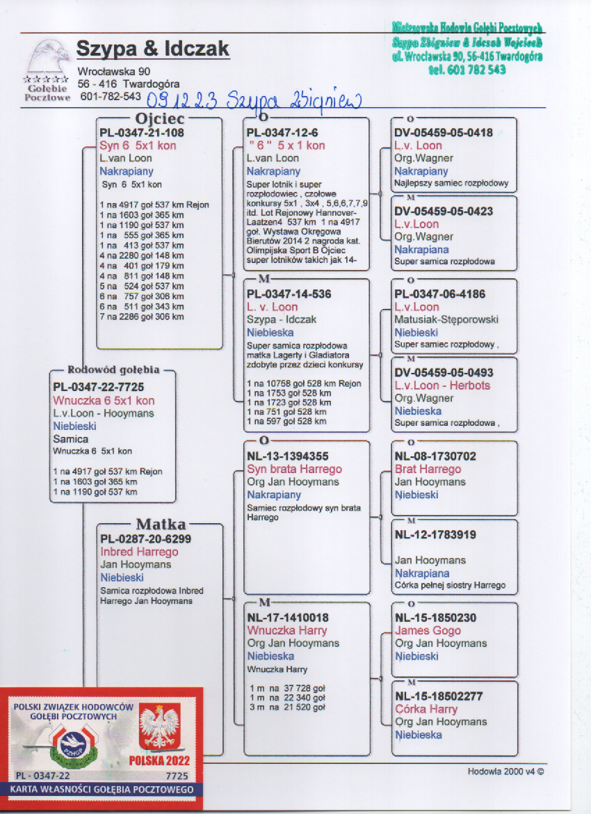 PL-0347-22-7725 Syn 6 5x1 kon L.v.Loon - Inbred Harry Jan Hooymans ...
