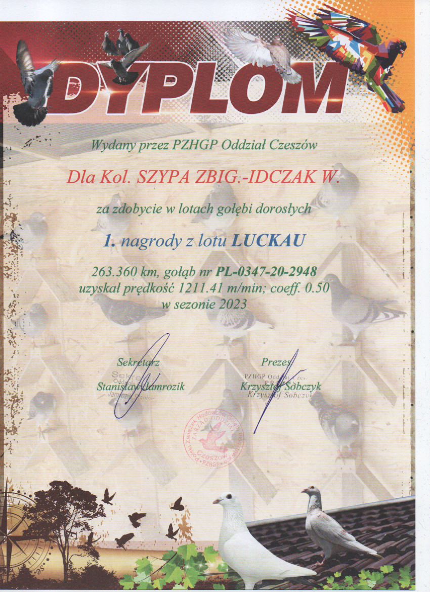 PL-0347-21-6656 Syn superrozpłodowca Arek 3436 Lotowany - Likwidacja ...