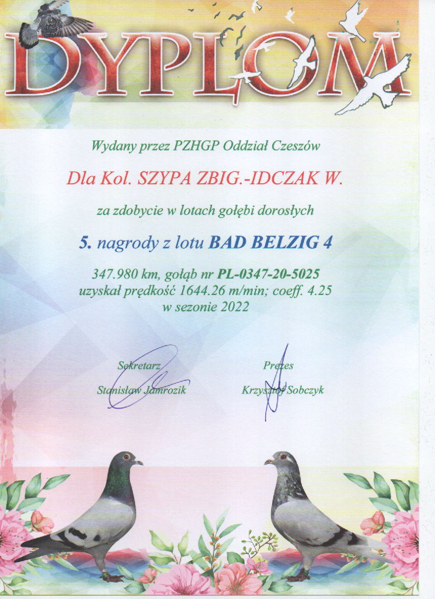 PL-0347-20-5025 Super Lotnik L.v.Loon - Vandenabeele - Likwidacja ...