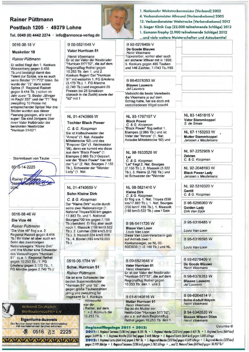 DV-0516-14-2225 - oryg. Rainer Puttmann linia Hurrican 51 - gieldagolebi.pl