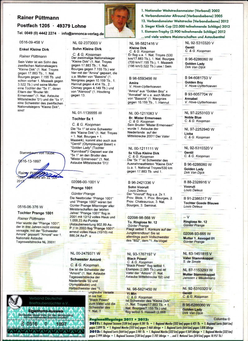 PL-0172-16-4263 - 100% Rainer Puttmann - gieldagolebi.pl