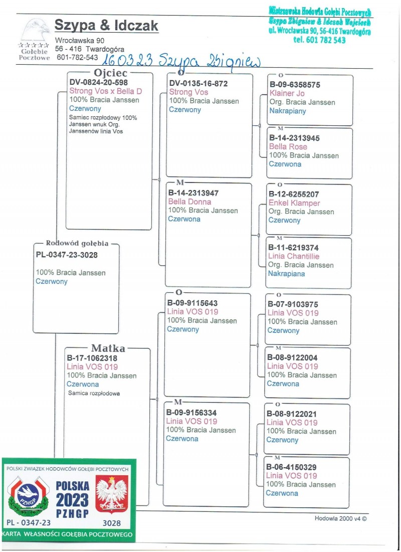 PL-0347-23-3028 - oryg. Szypa-Idczak - gieldagolebi.pl