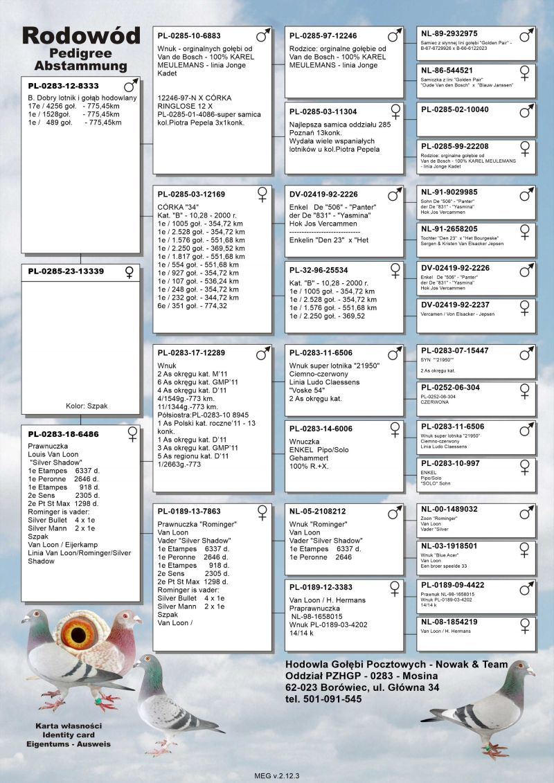 PL-0285-23-13339 „Silver Shadow“ Louis van Loon x „Jedynka“ Karel ...