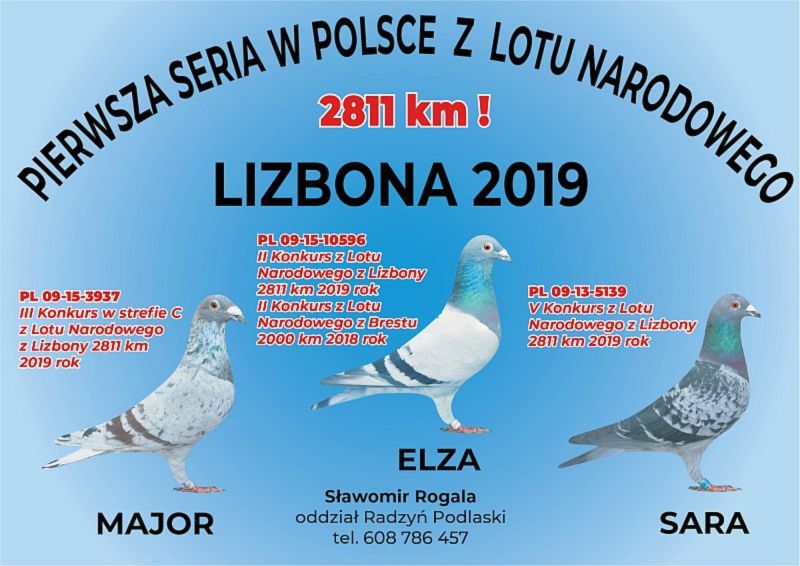 PL-0384-22-3598 - 100% Military-Rogala! Wybitne Pochodzenie!!! Idealny ...