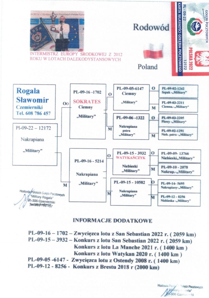 PL-012-23-11143 - 100% Military-Rogala! Wybitne Pochodzenie! Wnuczka ...