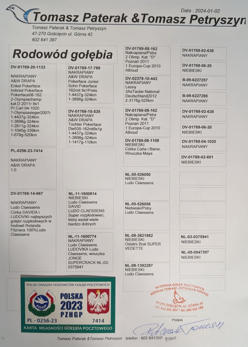 PL-0256-23-7414 oryg. Paterak-Petryszyn 100% A&W DRAPA linia Pokerface ...